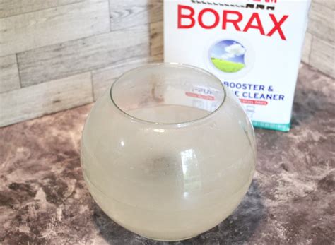 Borax Crystal Skull Craft Grow Your Own For Halloween Diy Candy