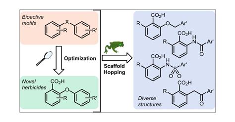Elisabeth Bowles On Linkedin A New Class Of Diaryl Ether Herbicides Structure Activity