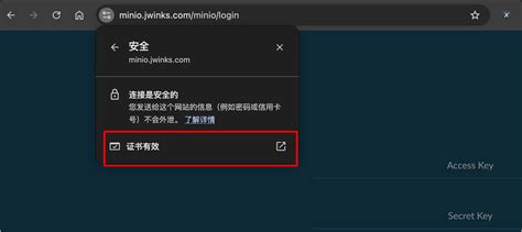 轻松管理反向代理：nginx Proxy Manager 详解