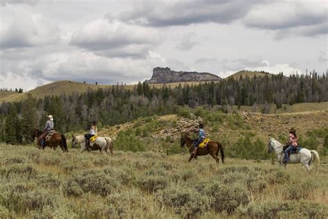 Lazy Landb Ranch Ranch Scout