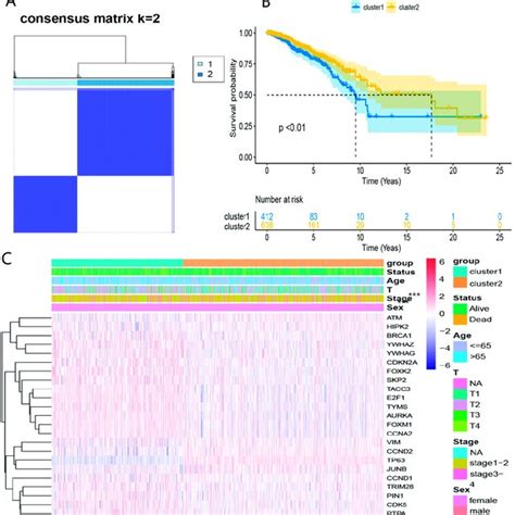 tcga brca classification based on the dedgs a consensus clustering