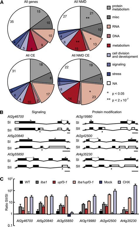 Nmd Targets Are Derived From Genes Linked To Diverse Biological Download Scientific Diagram