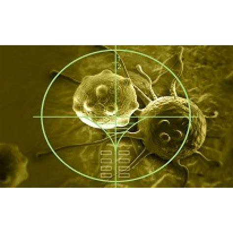 A Method For Detecting Bacterial Endotoxins Wako Pyrostar