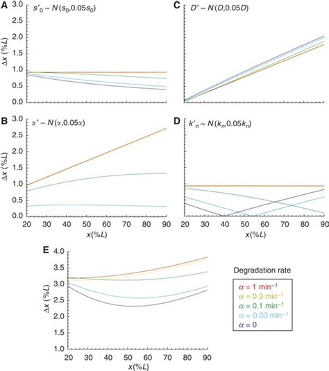 Modeling Precision Of Nuclear Bcd Predicted Positional Variability At Download Scientific