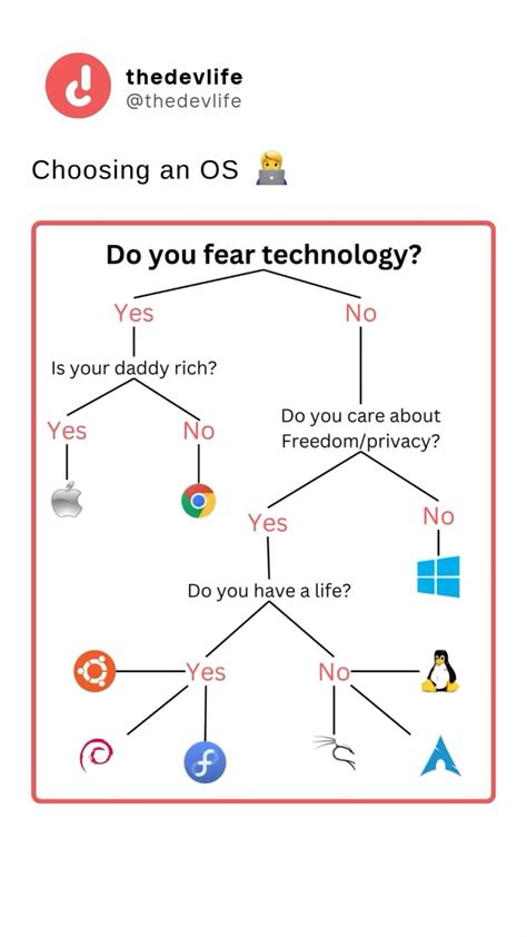 Thedevlife • Instagram Photos And Videos