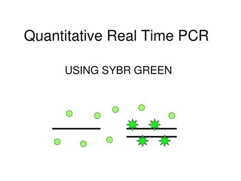 PPT Quantitative Real Time PCR PowerPoint Presentation Free Download ID 5186198