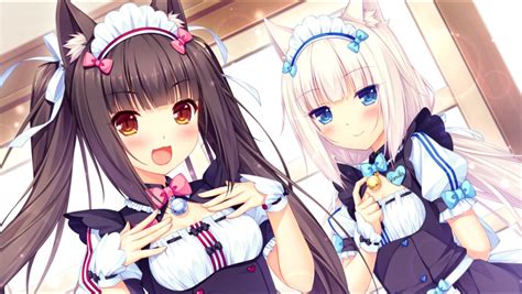 Hooray For The Nekopara Entry~ Nekopara Know Your Meme