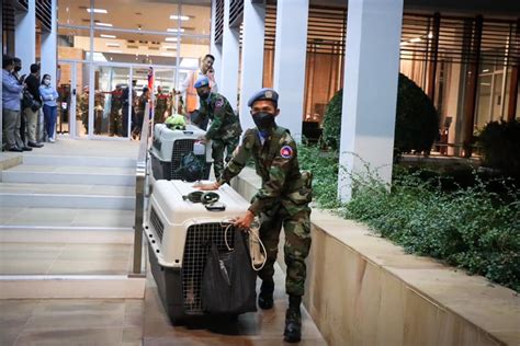 ឆេកគី និងប្រោន ជាសុនខ របស់ កម្ពុជាដំបូង ដែ ល ចូលរួ ម បេសក កម្ម រក្សា សន្តិភាព នៅអាហ្វ្រិក កណ្តា ល