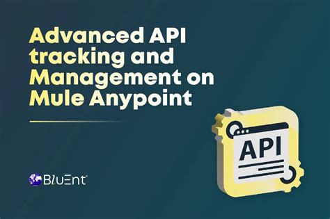 Mulesoft Api Analytics For Usage And Performance Tracking