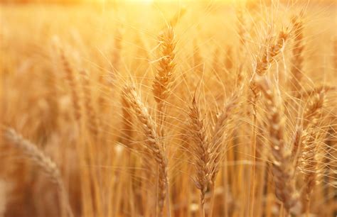 Bond No 9 Gold Street ~ New Fragrances