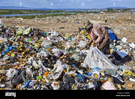 Garbage Collector In Sanitary Landfill Arpa Alternative Recycling