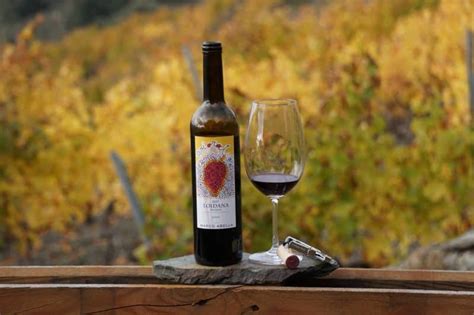 Priorat wines Barcelona : The Full Story | Toma & Coe