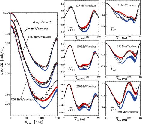 Differential Cross Section And Deuteron Analyzing Powers Download Scientific Diagram