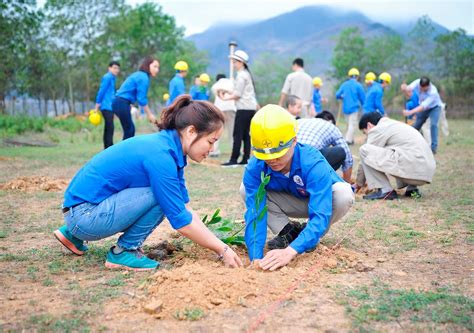 Thanh Niên Trong Các Phong Trào Bảo Vệ Môi Trường