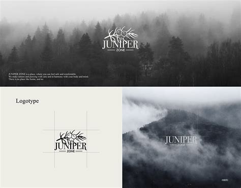 Juniper Zone Brand Identity Behance