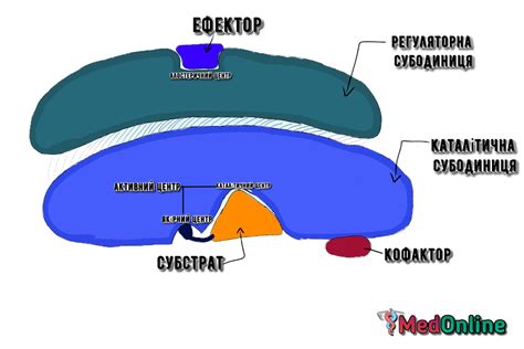 Medonline