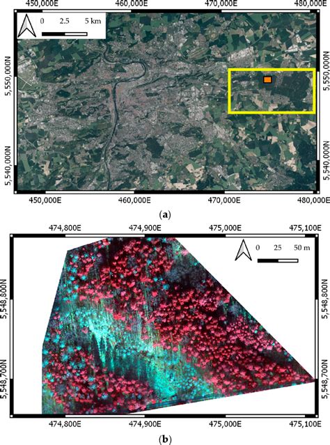 Figure 1 From Automatic Tree Crown Extraction From Uas Multispectral Imagery For The Detection