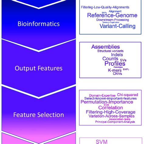 flow chart of the processing pipeline from raw omic sequencing data to