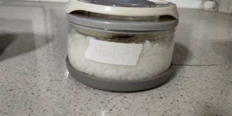 The Rice Experiment This Will Blow Your Mind