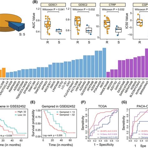 The Single‐cell Heterogeneity Of 24 Pdac Samples Pdac Pancreatic