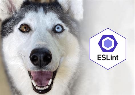 Getting Started With Eslint And Husky In Your Nodejs Project Collabnix