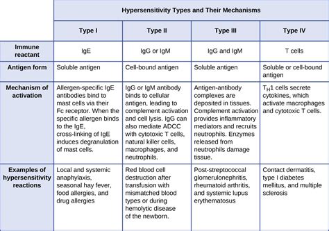 Examples Of Hypersensitivity Reactions And Their Impacts