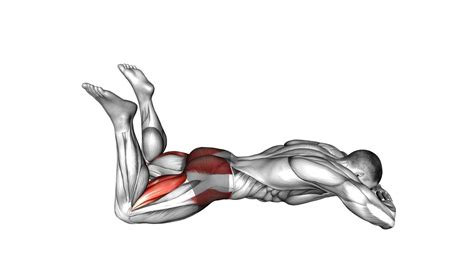 Male Frog Exercise Guide Tips And Video For Effective Workouts