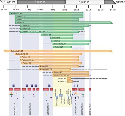 Summary Of Chromosomal Microarray Analysis Of Individuals With Download Scientific Diagram