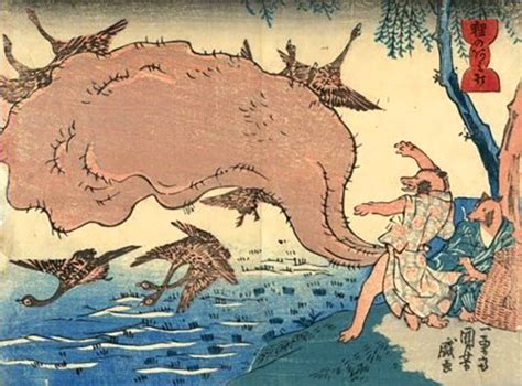 Why Do Tanuki Have Large Testicles At Christopher Etheridge Blog