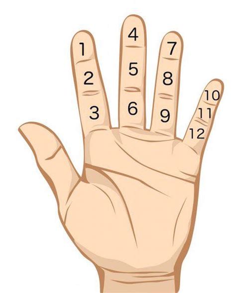 Egyptian Finger Counting Base 12 Rinterestingasfuck