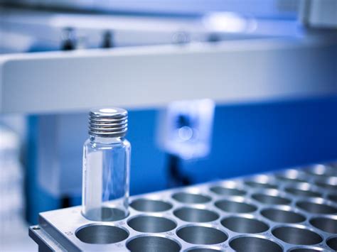 Rhizobium Pemanfaatannya Sebagai Bakteri Penambat Nitrogen Neliti