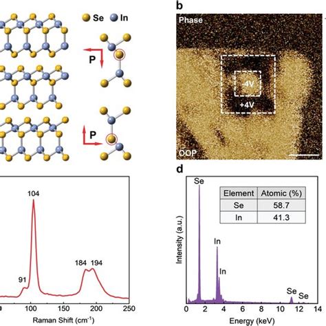 Dynamic Synaptic Transistor Based On α‐in2se3 Fesfet A Schematic Download Scientific Diagram