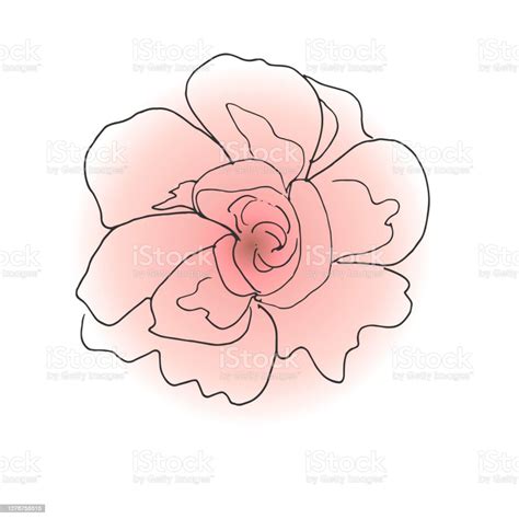 벡터 그림입니다 검은 색 윤곽과 분홍색 그라데이션 채우기와 손으로 그린 스타일로 꽃 봉오리 디자인 요소입니다 0명에 대한 스톡 벡터 아트 및 기타 이미지 Istock