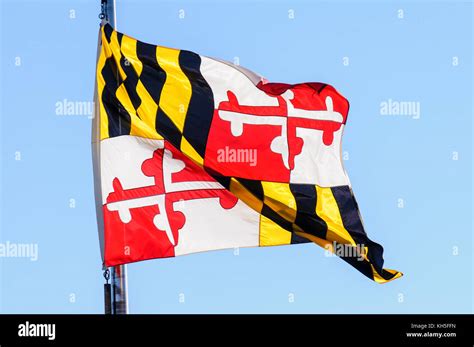 Maryland State Flag Meaning Maryland Flag Facts Yvbkhi