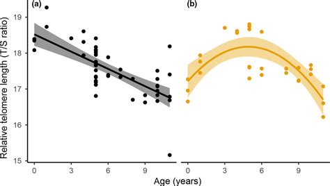 Relationship Between Age And Relative Telomere Length Rtl Ts Ratio Download Scientific