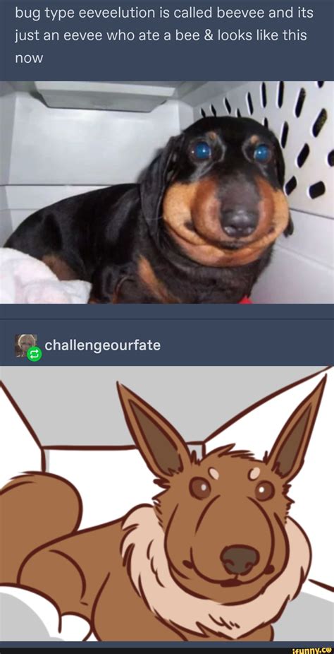 Bug Type Eeveelution Is Called Beevee And Its Just An Eevee Who Ate A Bee Looks Like This Now