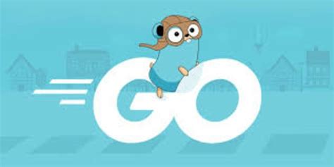 High Performance Go Framework Tasting Rcoding