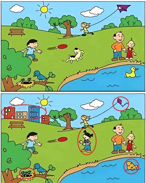 Spot The Difference Find 5 Differences Between Two Images