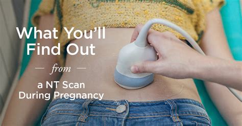 NT Scan What Youll Find Out