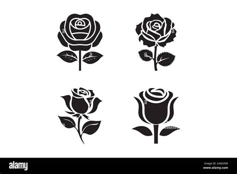 Rose Vector Image Stock Vector Image And Art Alamy
