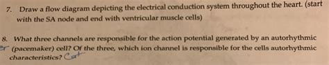 Solved Draw A Flow Diagram Depicting The Electrical Chegg