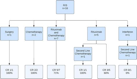 Treatments And Outcomes Cr Complete Remission Download Scientific