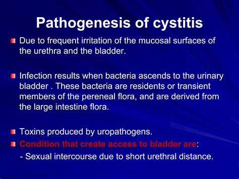 Congenital Anomalies Of Urinary Bladder Ppt