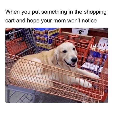 31 Grocery Shopping Memes To Ease Your Aisle Anxiety
