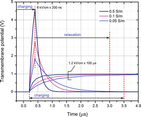 Dynamics Of Cell Polarization And Depolarization In Extracellular Download Scientific Diagram