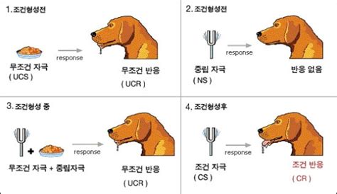 전종호의 교육칼럼 풀씨 27 행동주의 심리학의 빛과 그늘 네이버 블로그