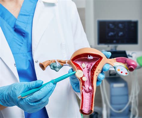 Myomectomy In Abu Dhabi Elyzee Hospital Myomectomy In Abu Dhabi Elyzee Hospital