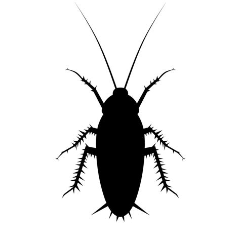 Cockroach Silhouette Vector Art Icons And Graphics For Free Download
