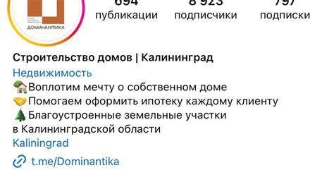 37 млн руб с одного блогера или кейс о том как работает Pr — Teletype