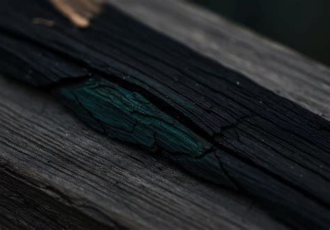 Attribution Vs Contribution → Term